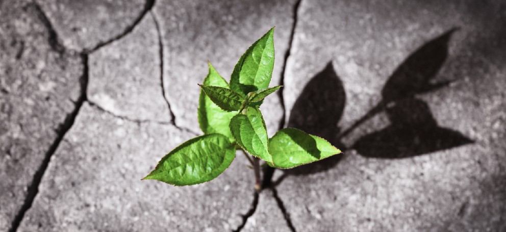 Tips to tackle climate change | NatWest